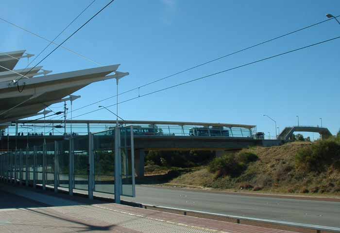 Transperth | australia.SHOWBUS.com BUS IMAGE GALLERY