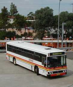 Busways | australia.SHOWBUS.com BUS IMAGE GALLERY