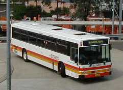 Busways | australia.SHOWBUS.com BUS IMAGE GALLERY
