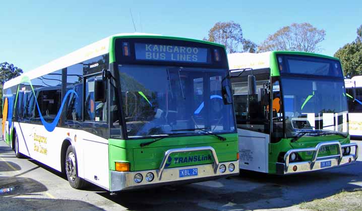 Kangaroo Bus Lines - australia.SHOWBUS.com BUS IMAGE GALLERY