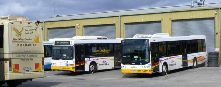 australia.SHOWBUS.com PHOTO GALLERY - Peninsula Bus Lines