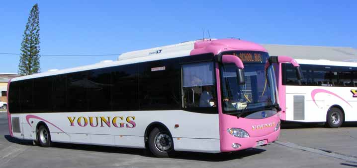 australia.SHOWBUS.com BUS IMAGE GALLERY - Young's Bus Service