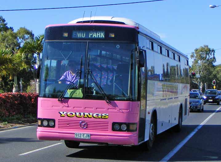 australia.SHOWBUS.com BUS IMAGE GALLERY - Young's Bus Service