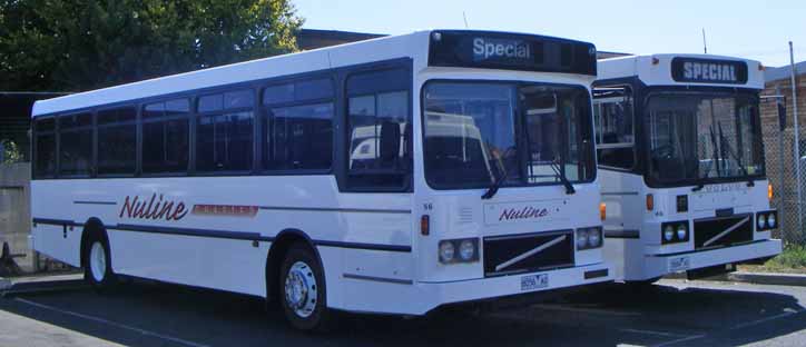Nuline Charter | australia.SHOWBUS.com BUS IMAGE GALLERY