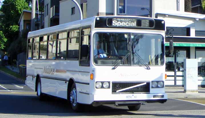 Nuline Charter | australia.SHOWBUS.com BUS IMAGE GALLERY
