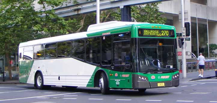 Forest Coach Lines | australia.SHOWBUS.com BUS IMAGE GALLERY