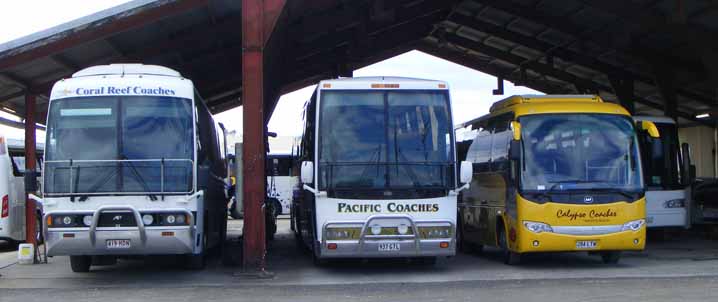 Coral Reef Coaches australia.SHOWBUS.com BUS IMAGE GALLERY