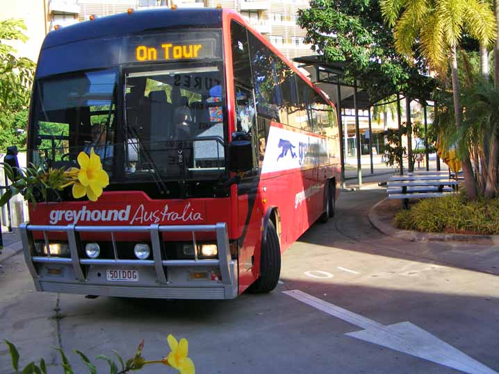 Greyhound Australia | australia.SHOWBUS.com BUS IMAGE GALLERY