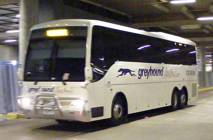 Greyhound Australia | australia.SHOWBUS.com BUS IMAGE GALLERY