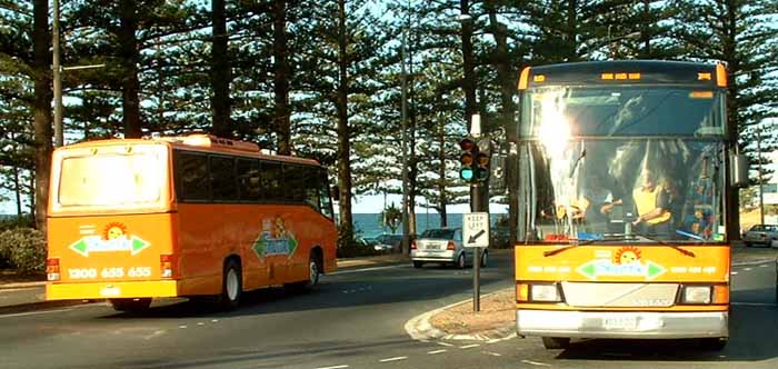 Gold Coast Shuttle | australia.SHOWBUS.com BUS IMAGE GALLERY