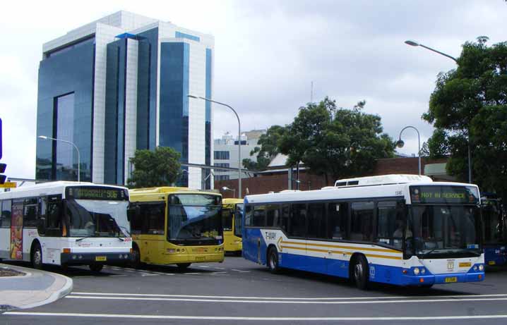 Sydney Buses - australia.SHOWBUS.com BUS IMAGE GALLERY