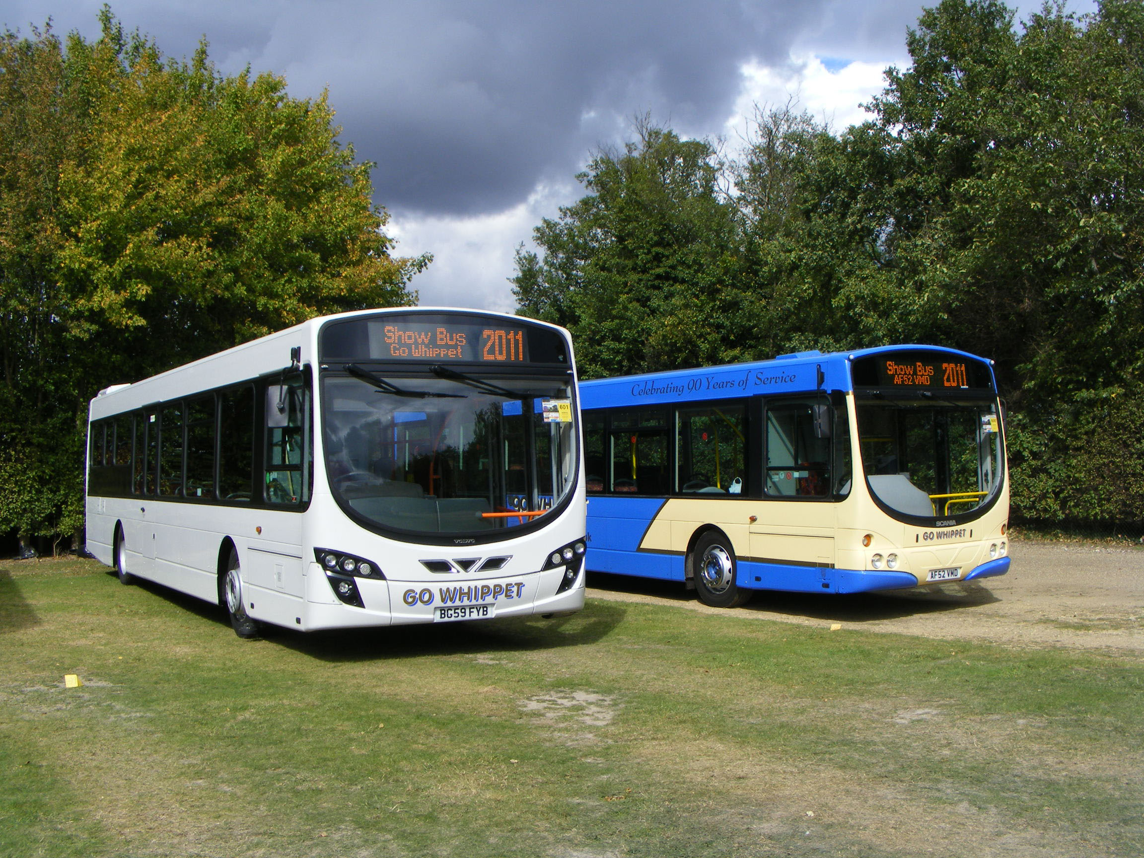 Go Whippet | SHOWBUS Bus Image Gallery | Anglia