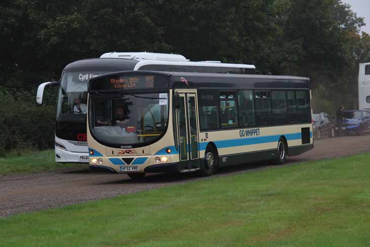 Go Whippet | SHOWBUS Bus Image Gallery | Anglia