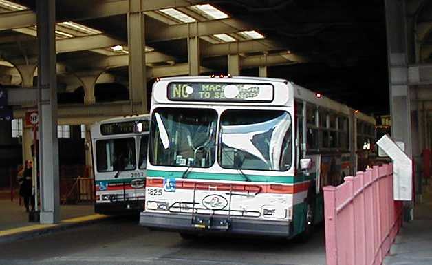 AC Transit - SHOWBUS International BUS IMAGE GALLERY - USA
