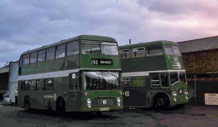 Southdown | SHOWBUS BUS IMAGE GALLERY